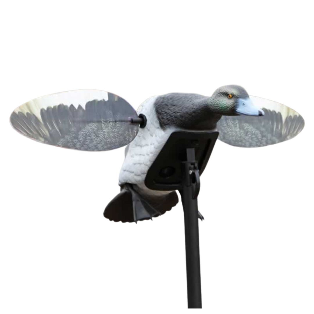 Mojo Es Diver Bluebill – Northwoods Wholesale Outlet